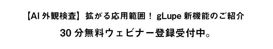 製造業向け外観検査ソフトウェア gLupe®